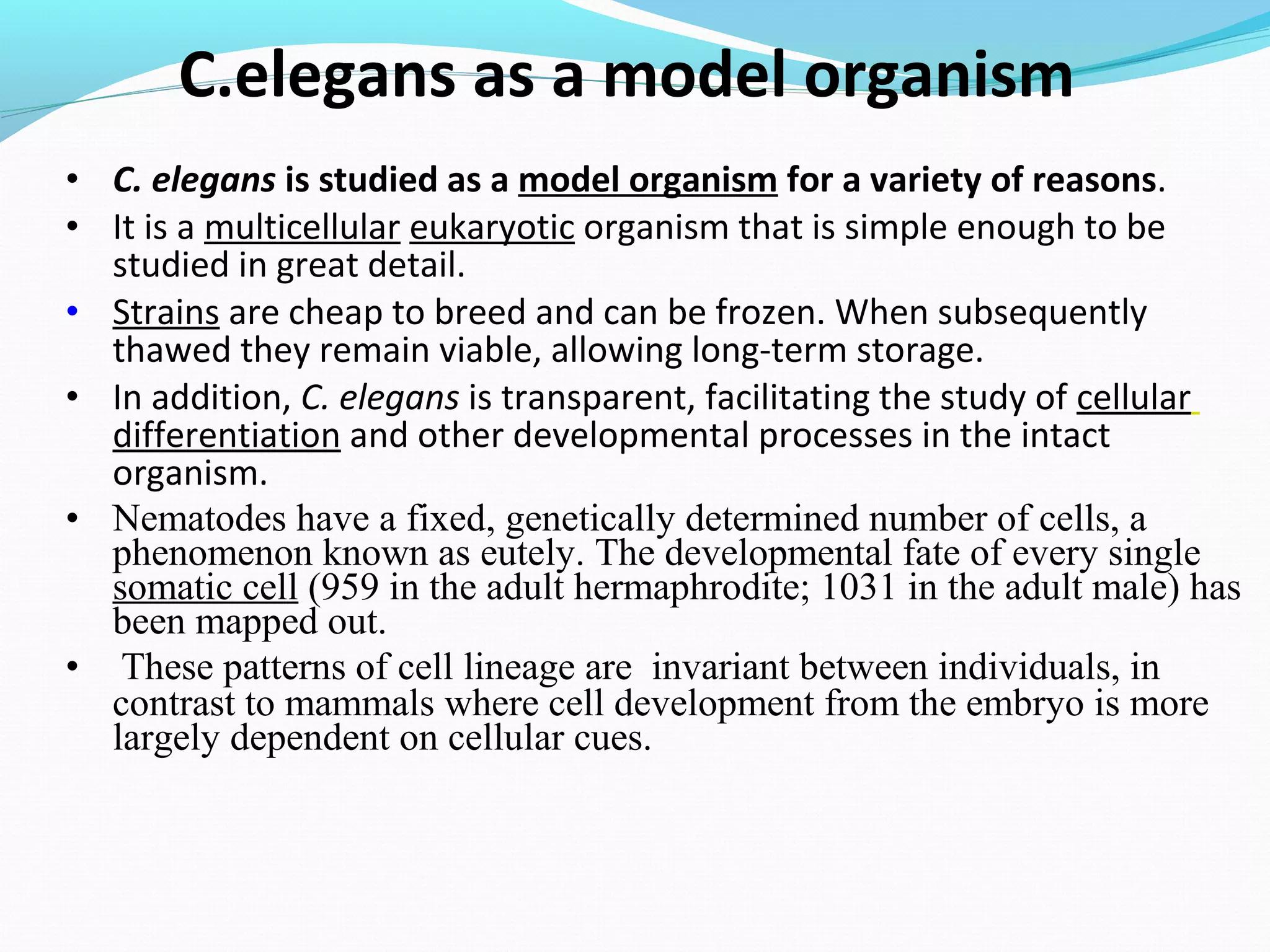 c elegans genome, life cycle and model organism | PPT