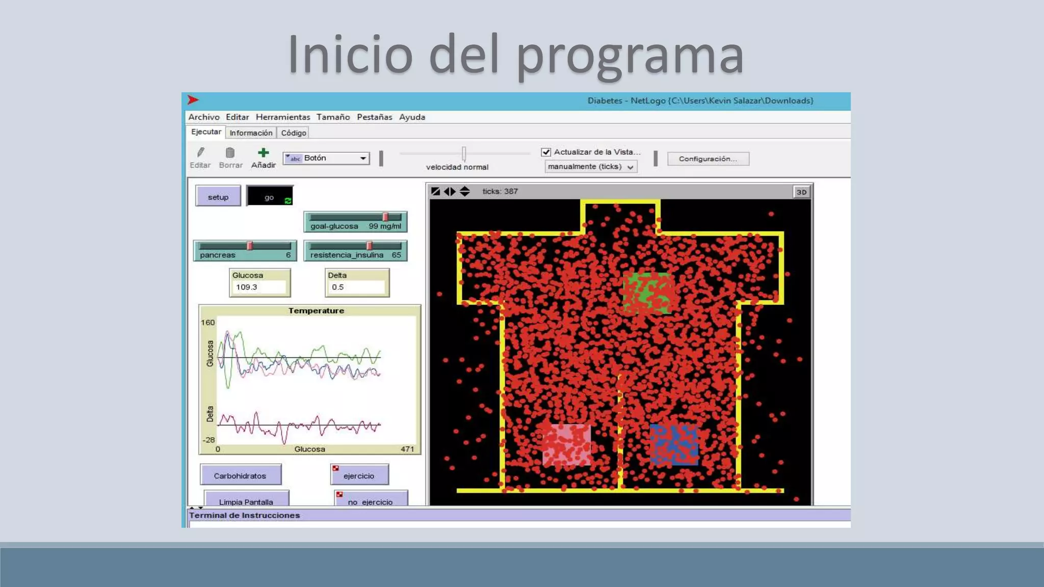 Modelos basados en agentes con Netlogo - Simulación de la diabetes | PPTX