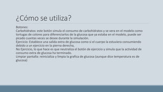 Modelos basados en agentes con Netlogo - Simulación de la diabetes | PPTX