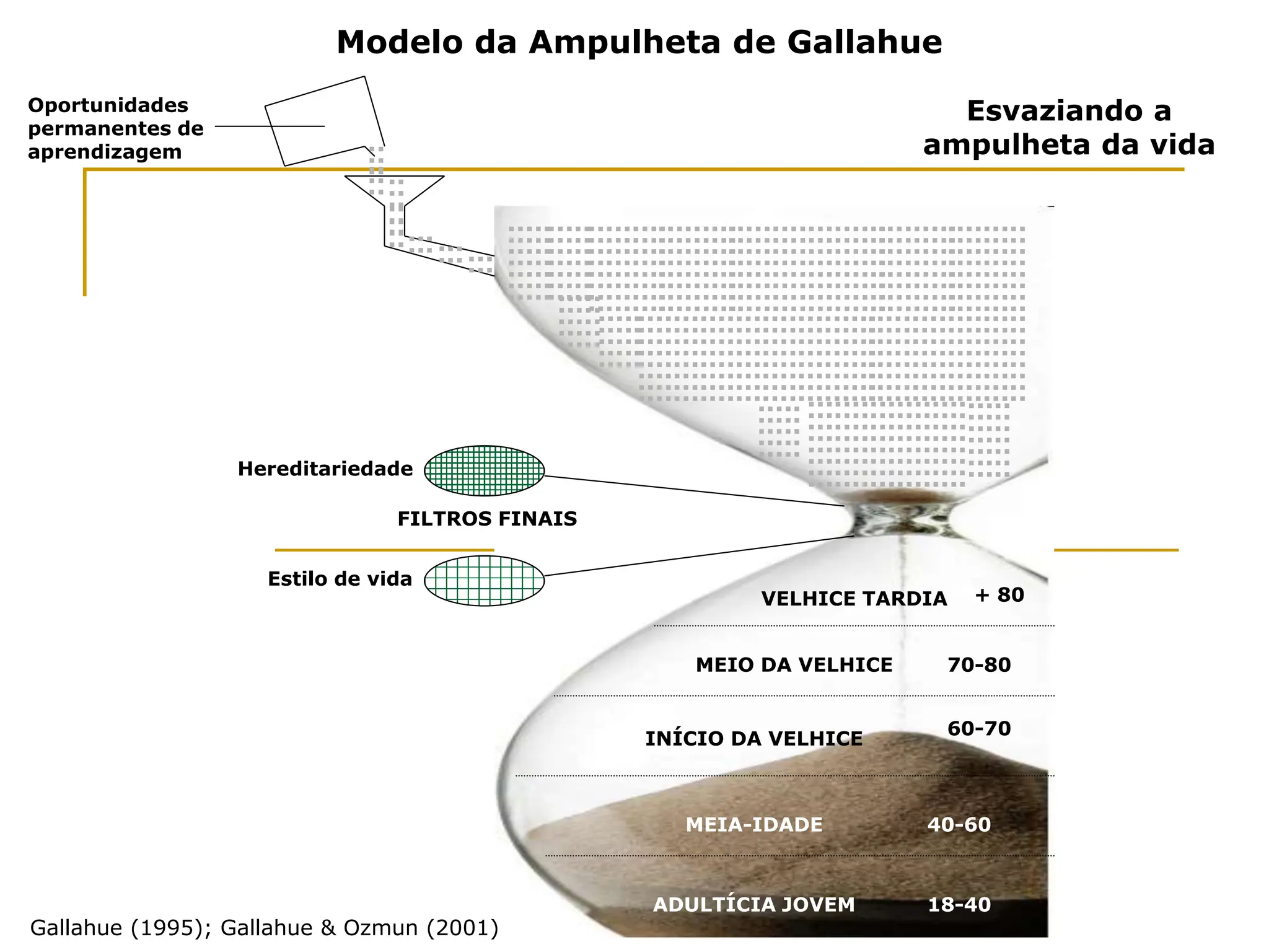 Modelos de Desenvolvimento Motor - Gallahue, Newell e Tani | PPT