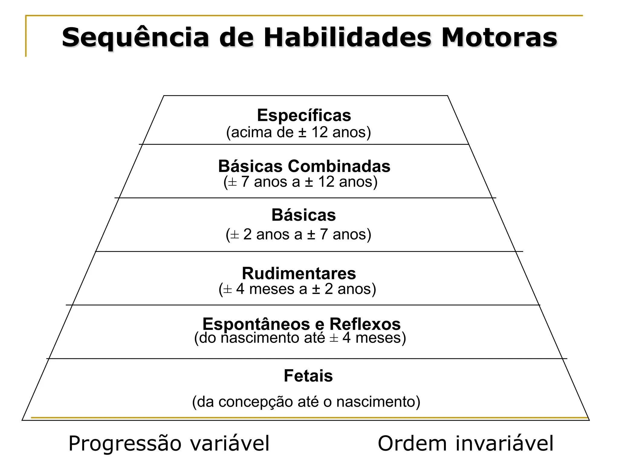 Modelos de Desenvolvimento Motor - Gallahue, Newell e Tani | PPT