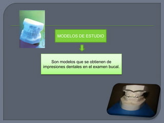 Modelos de estudio | PPTX