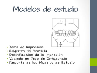 Modelos de Estudio | PDF