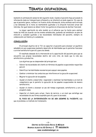 Modelos de terapia ocupacional | PDF