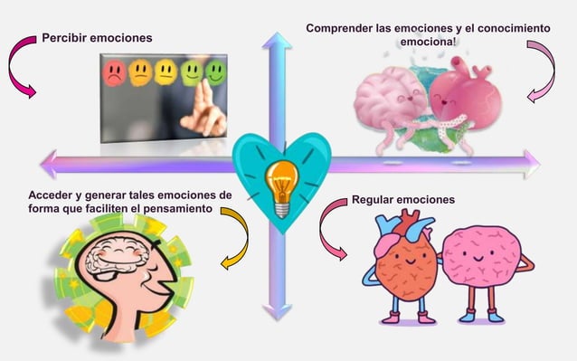 Modelos en inteligencia emocional: Mayer y Salovey.
