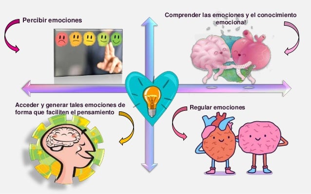 Modelos en inteligencia emocional: Mayer y Salovey.