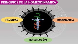 Modelo seres humanos unitarios. martha rogers | PPTX