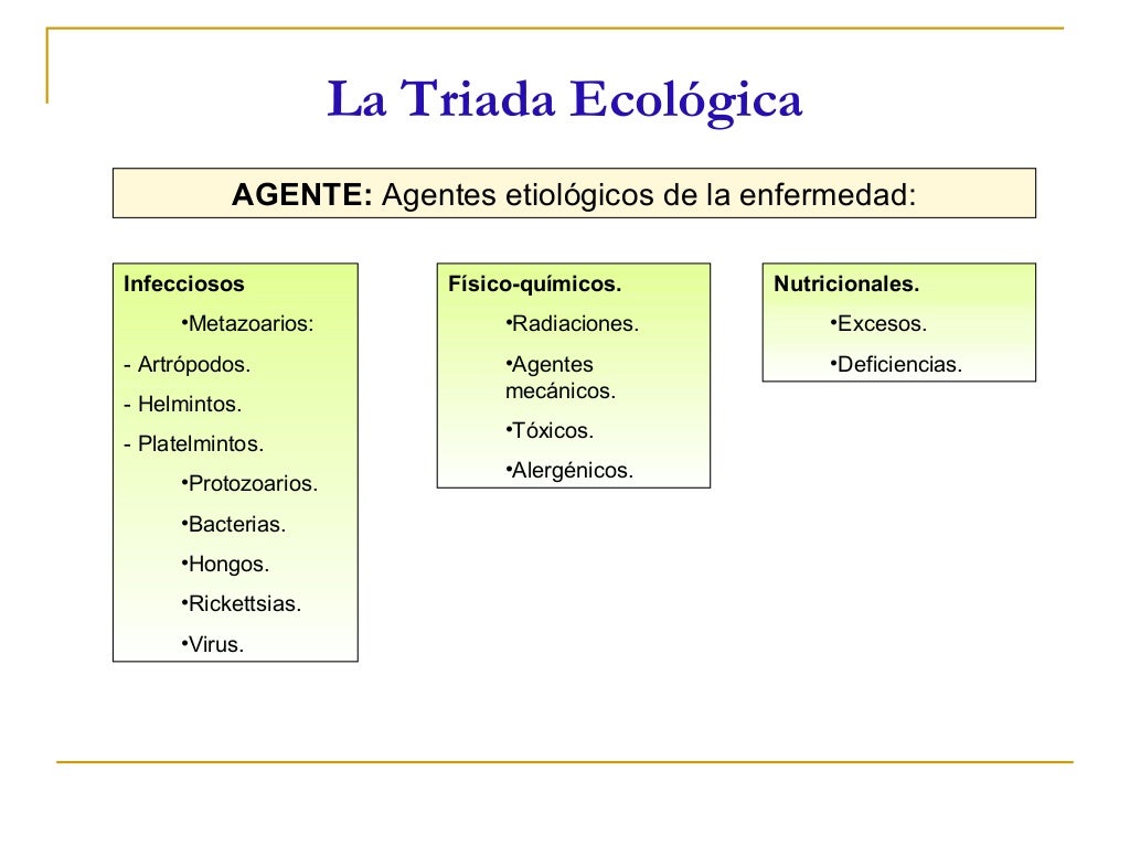 Modelos explicativos del Proceso Salud Enfermedad Modelos explicativos del Proceso Salud Enfermedad