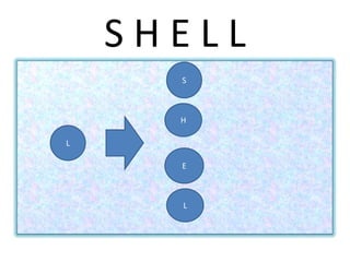 Modelo shell | PPTX