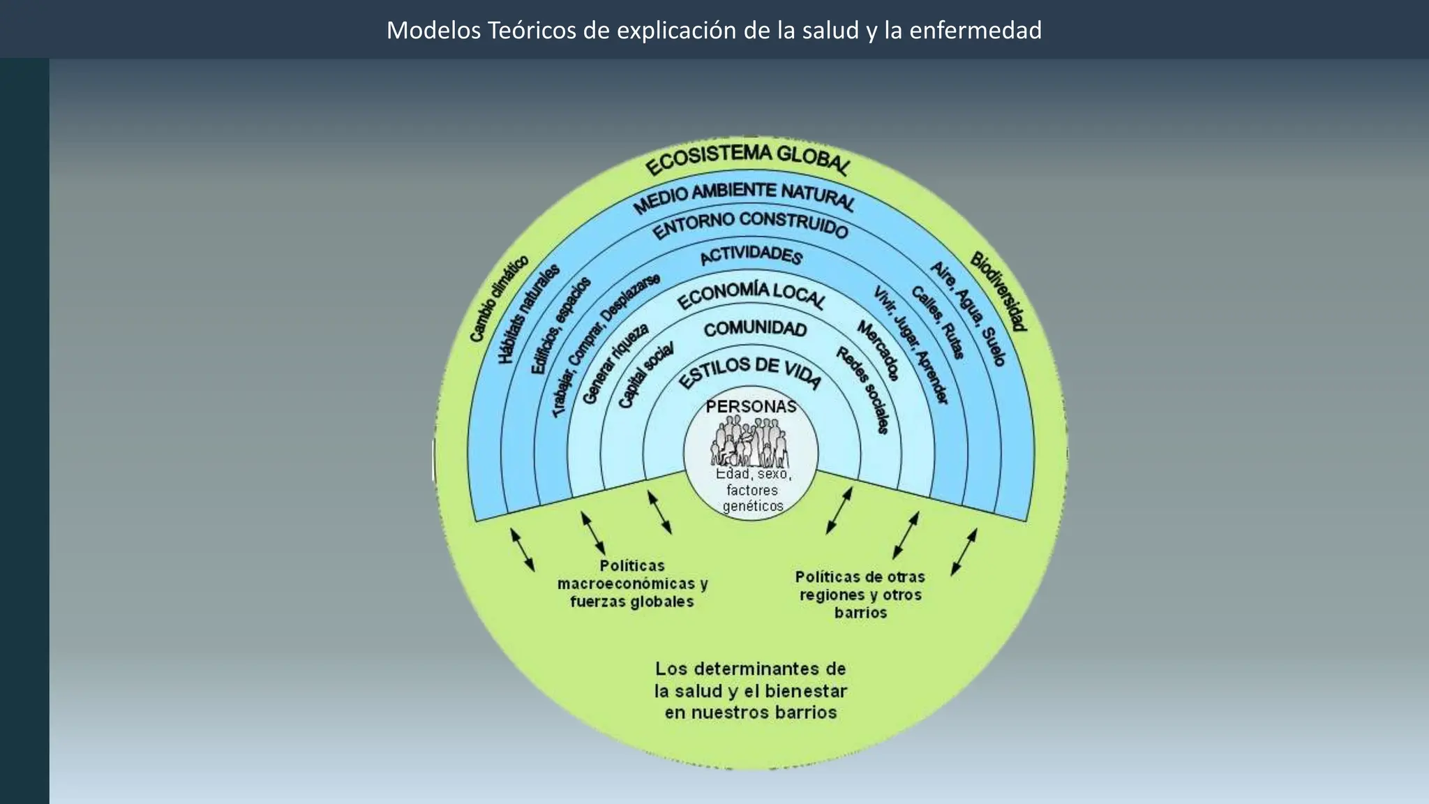 Modelos Teóricos de explicación de la salud y la enfermedad ...