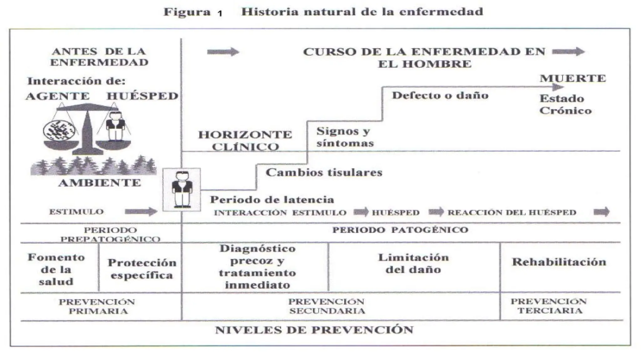 MODELOS UNICAUSAL Y MULTICAUSAL en epidemiologia.pptx