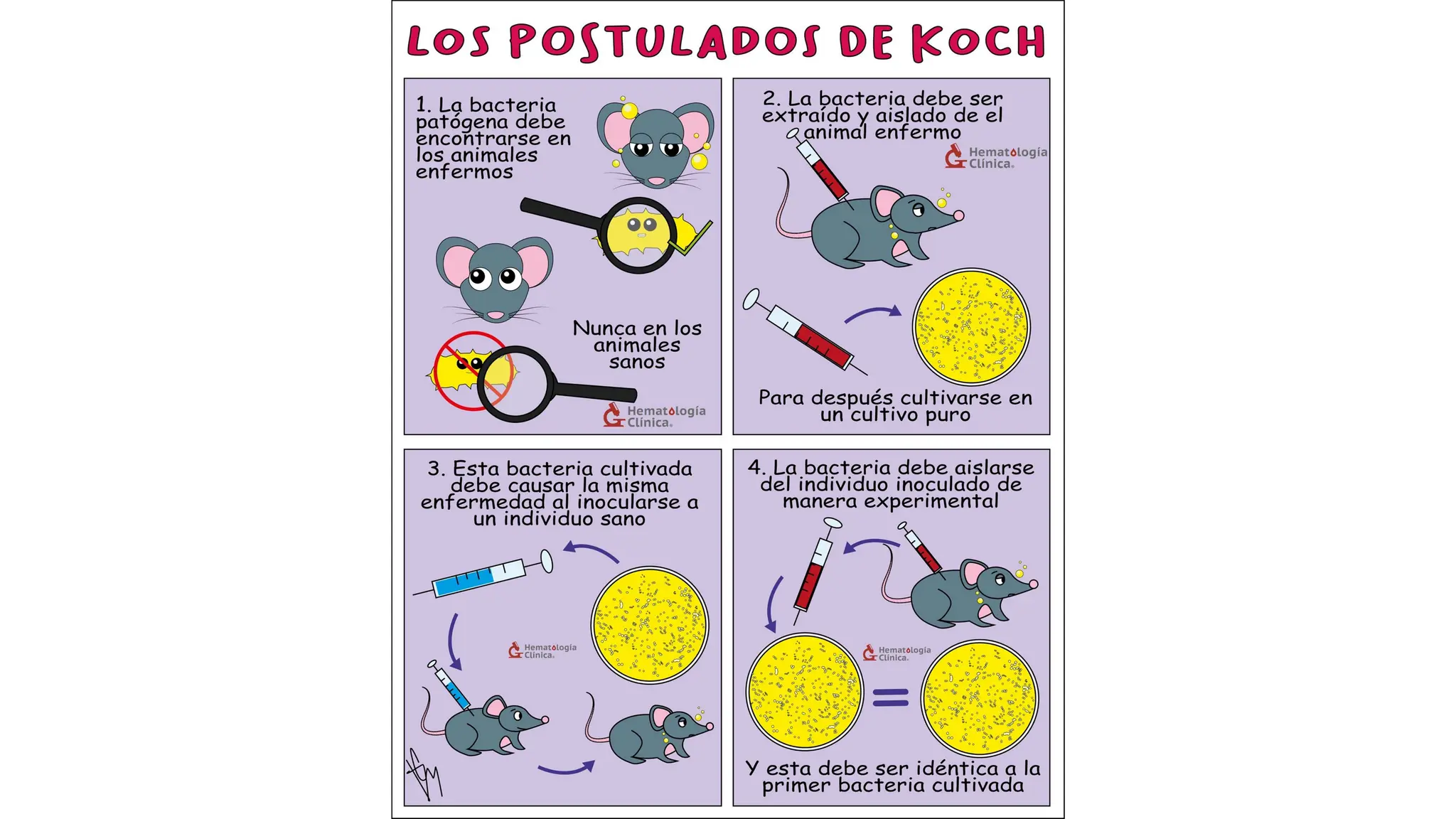 MODELOS UNICAUSAL Y MULTICAUSAL en epidemiologia.pptx