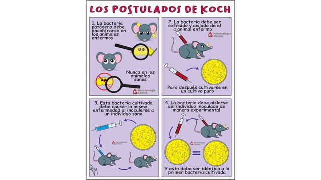 MODELOS UNICAUSAL Y MULTICAUSAL en epidemiologia.pptx