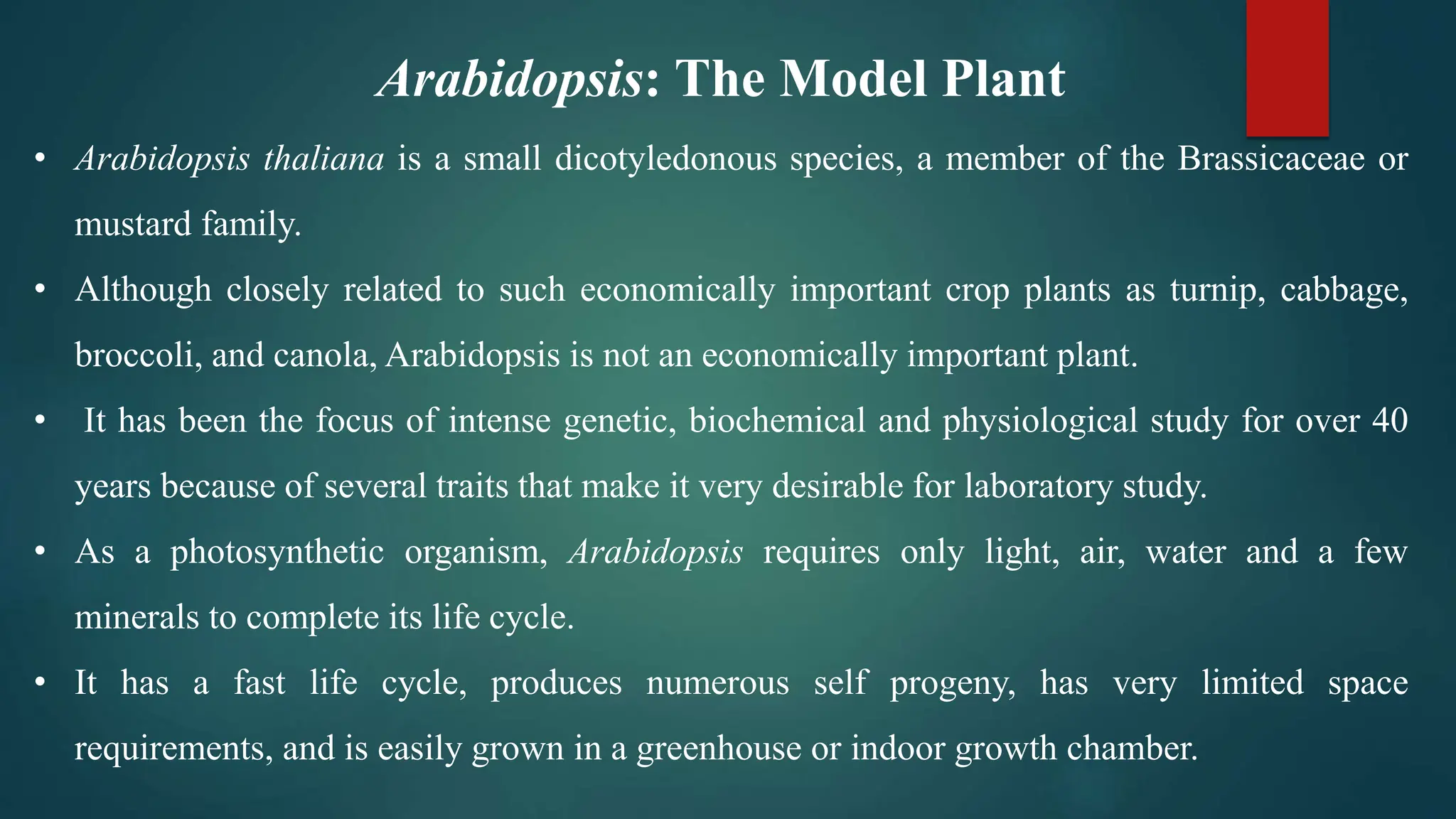 Model plant in Molecular biology.pptx by monika andhale | PPTX