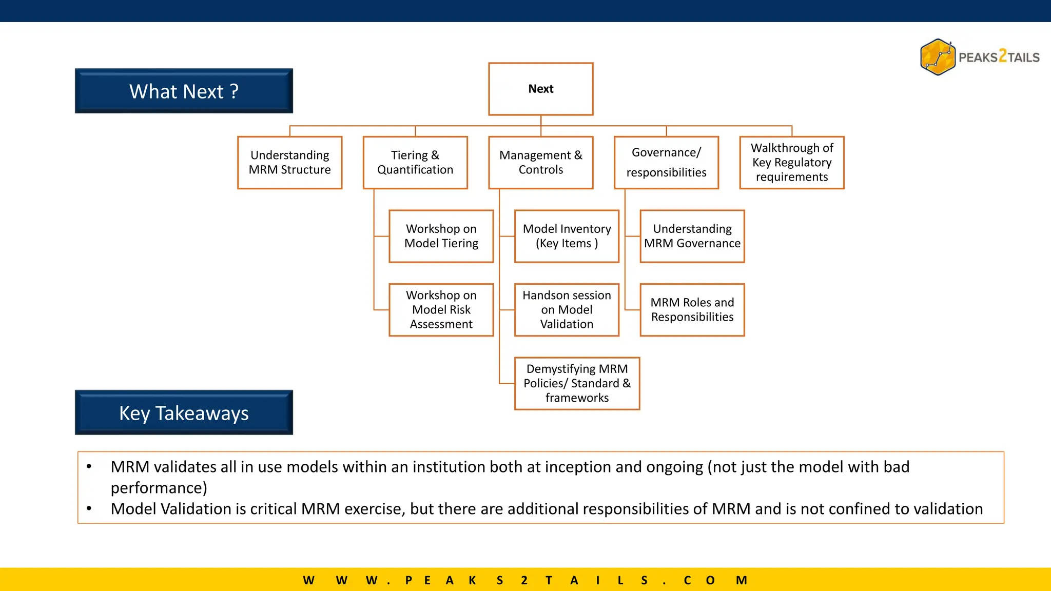 Model risk management in banking incl. Regulatory requirements | PDF