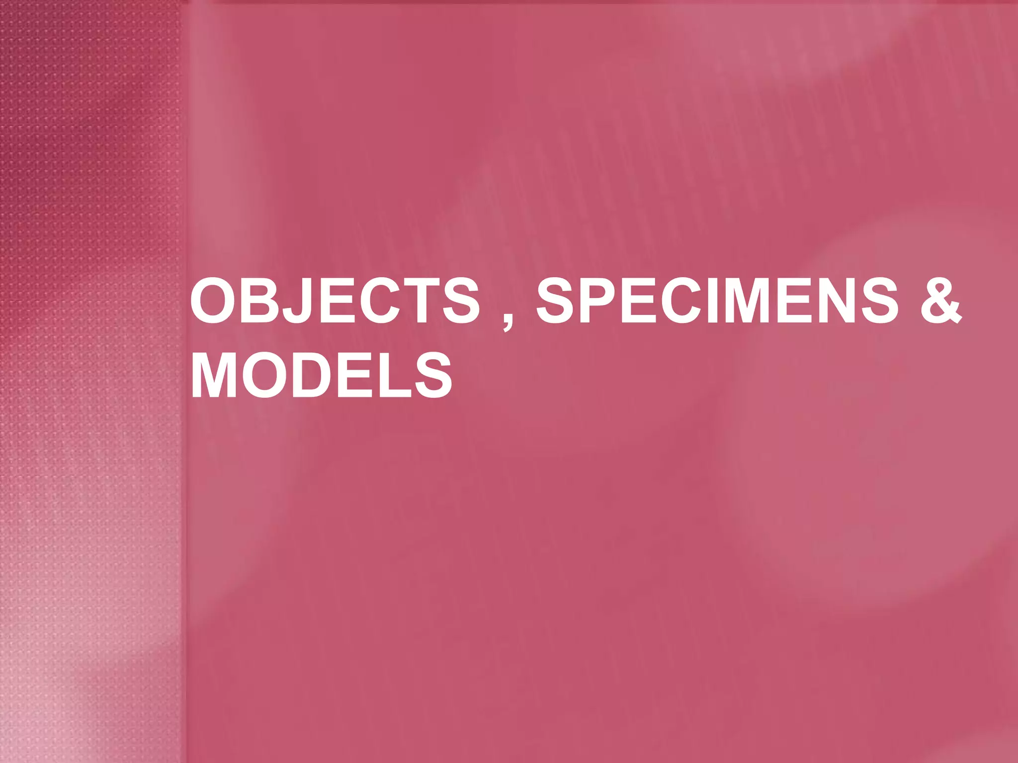 Objects, Specimens & Models Guide | PPT