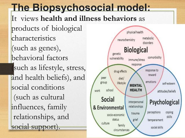 Biopsychosocial Models | PPTX | Physical Therapy | Wellness