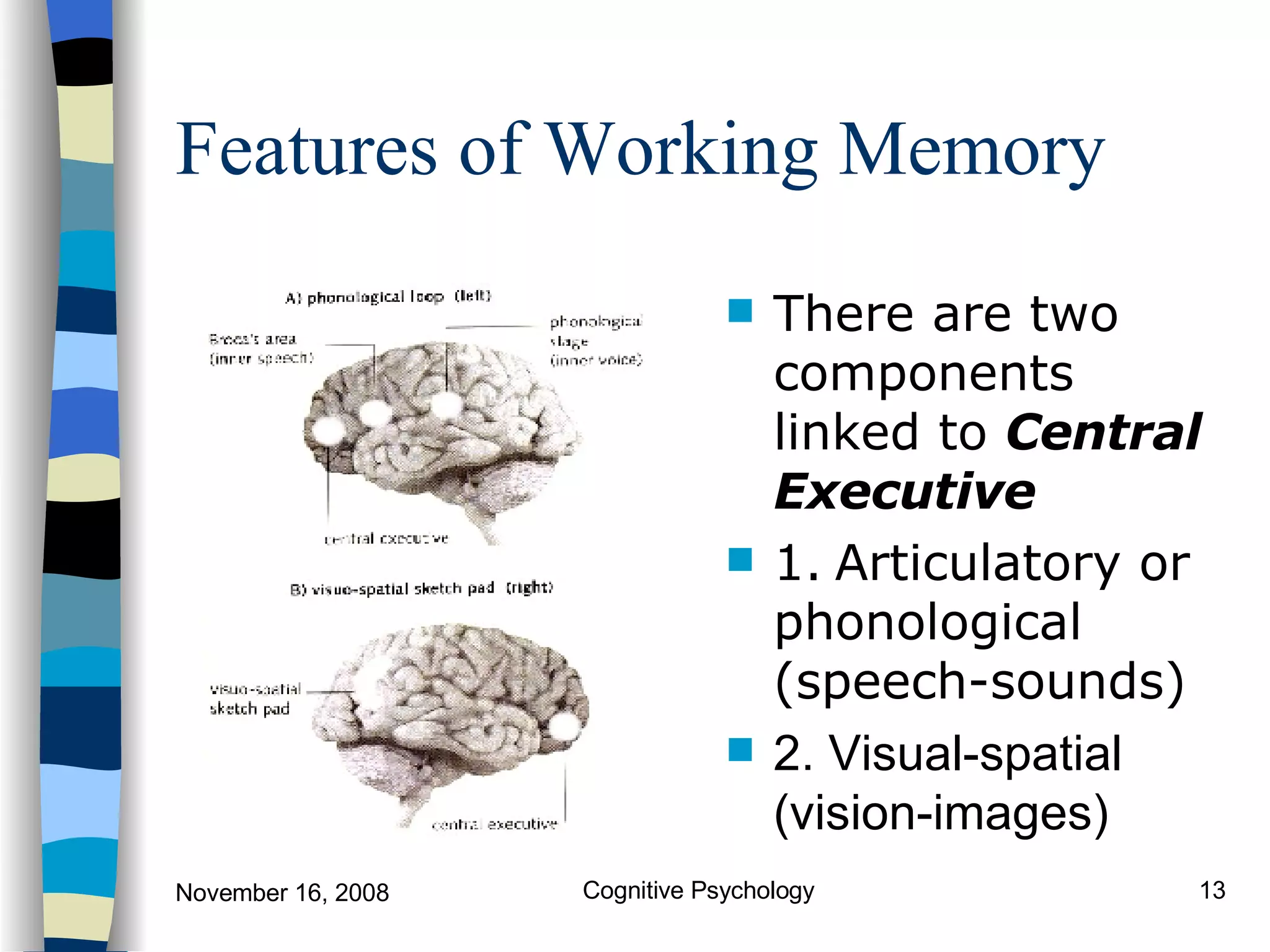 Models Of Memory | PPT