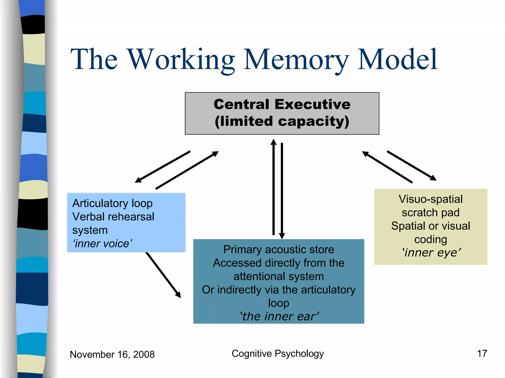 Models Of Memory | PPT