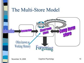 Models Of Memory | PPT