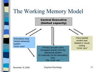 Models Of Memory | PPT