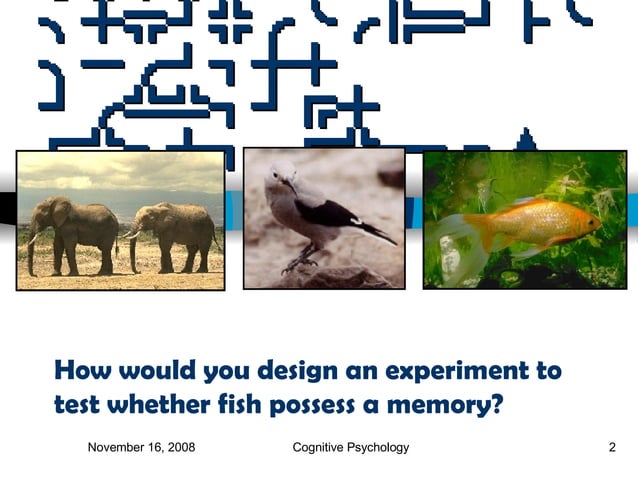 Models Of Memory | PPT