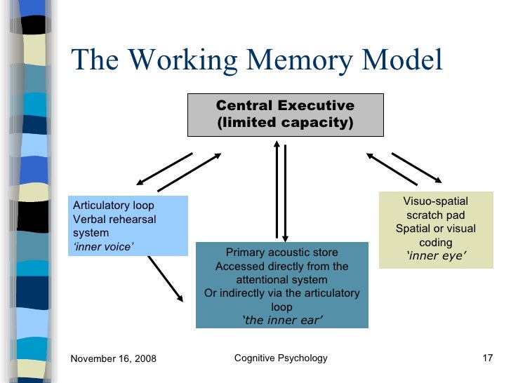 Models Of Memory