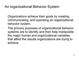 MMModelss-of-Organizational-Behavior.ppt