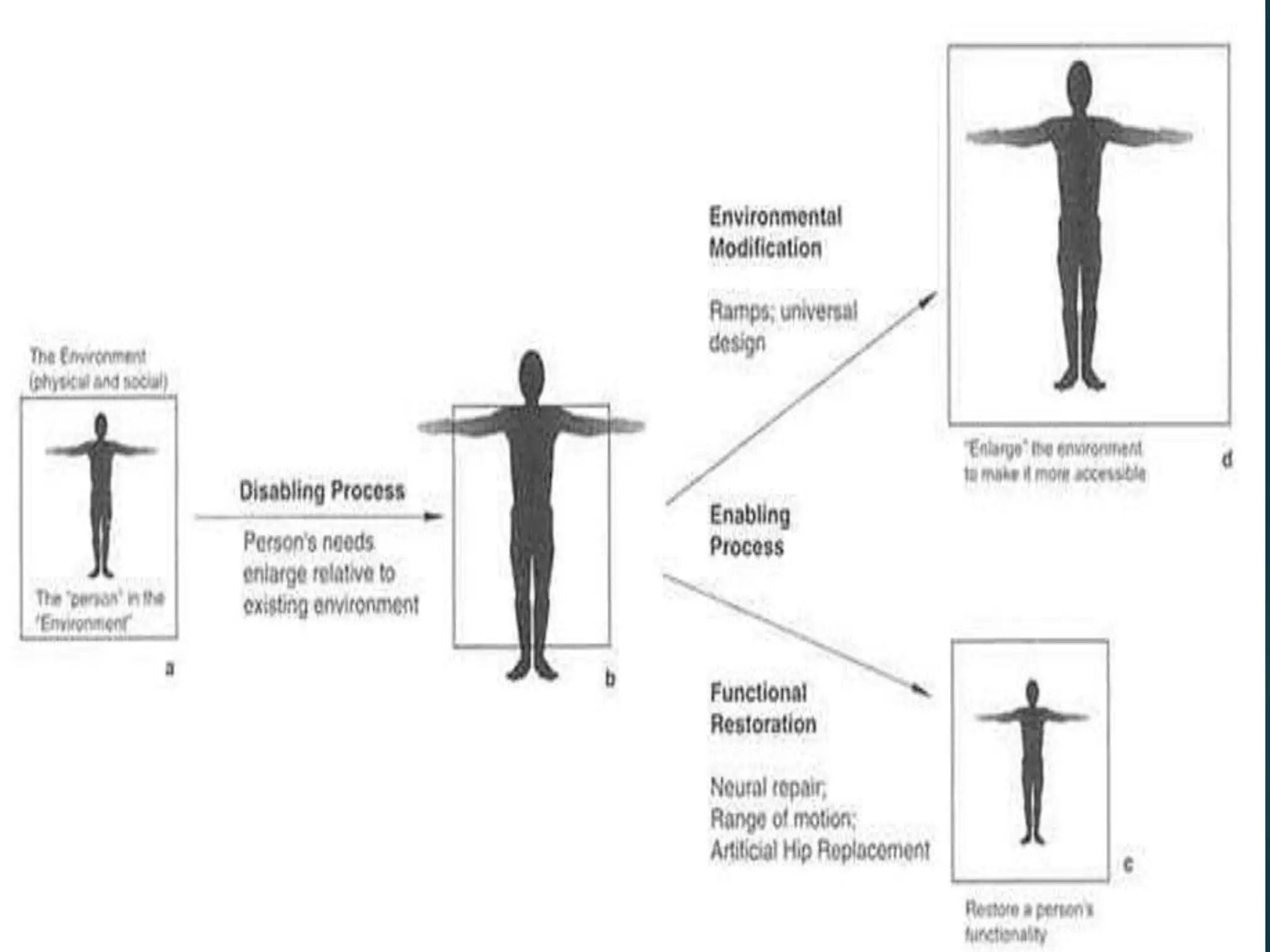 Models and methods of rehabilitation | PPTX