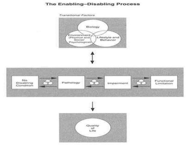 Models and methods of rehabilitation | PPTX