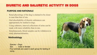 Models for testing_activity_of_diuretics | PPTX