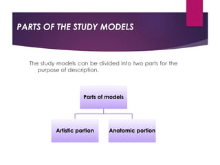 orthodontic study models presentation.pptx