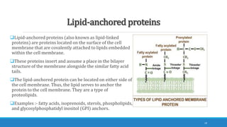 MODELS OF CELL MEMBRANE & CELL MEMBRANE ARCHITECHTURE.pptx