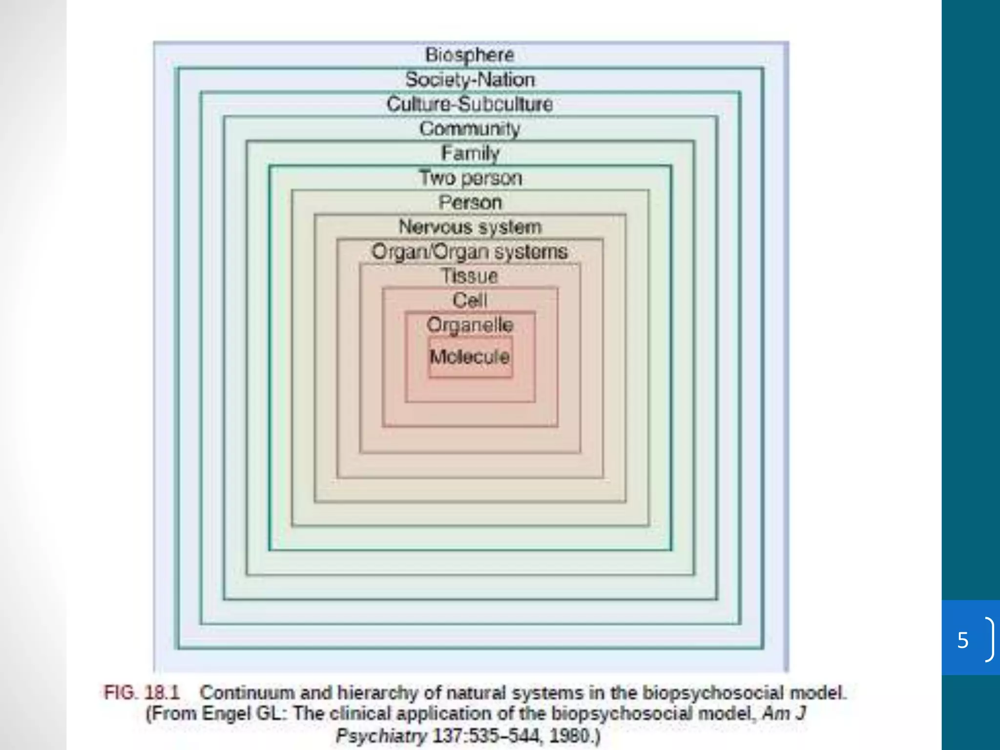 Models_of development.pptx