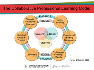 Models of effective practice | PPT