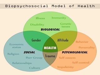 Models of health and illness | PPT