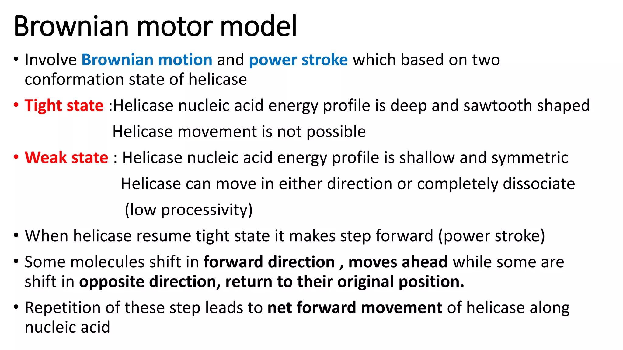 Models of mechanism of dna helicase action | PPTX