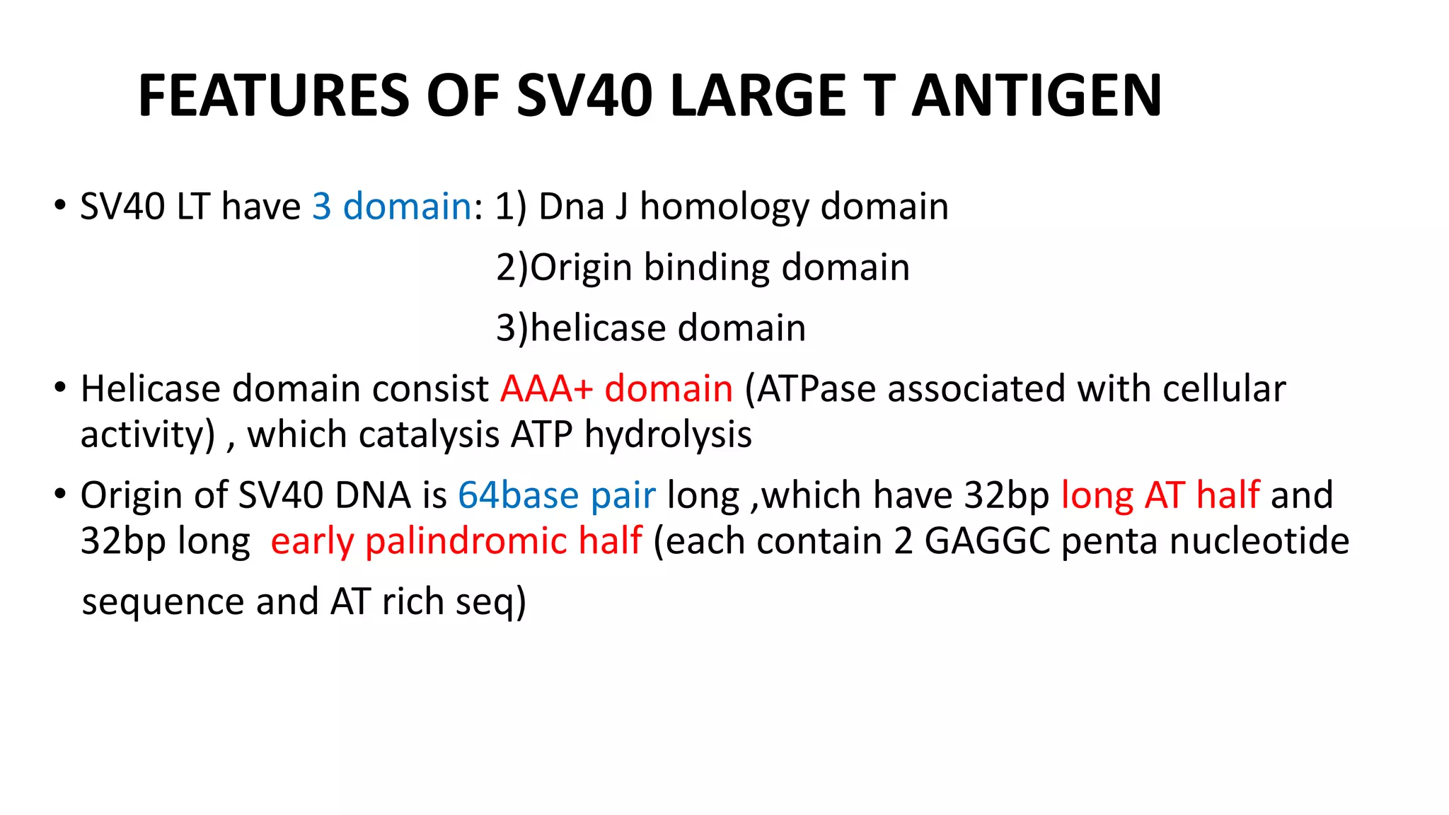 Models of mechanism of dna helicase action | PPTX