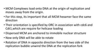 Models of mechanism of dna helicase action | PPTX