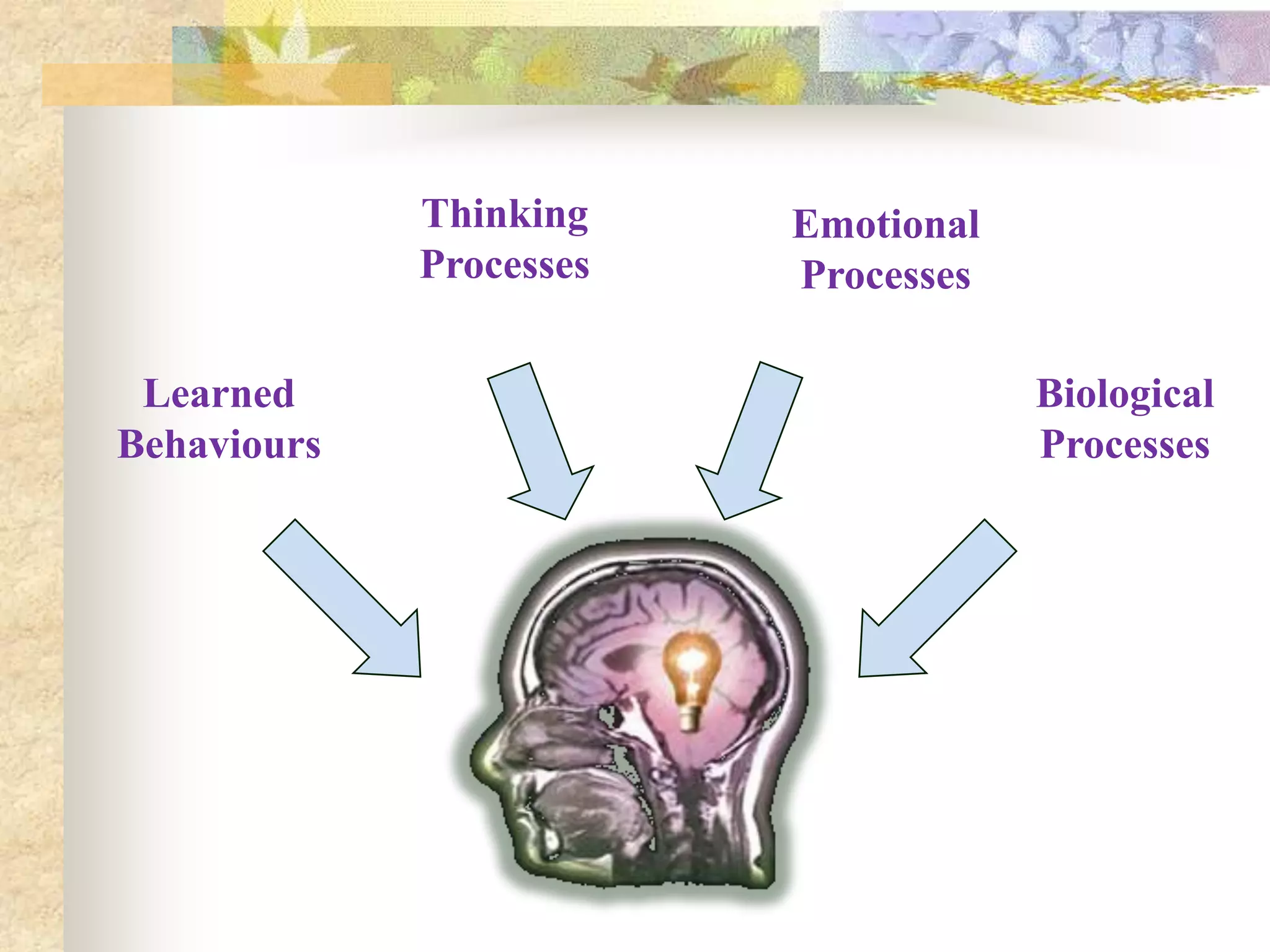 Models of mental health & illness | PPTX