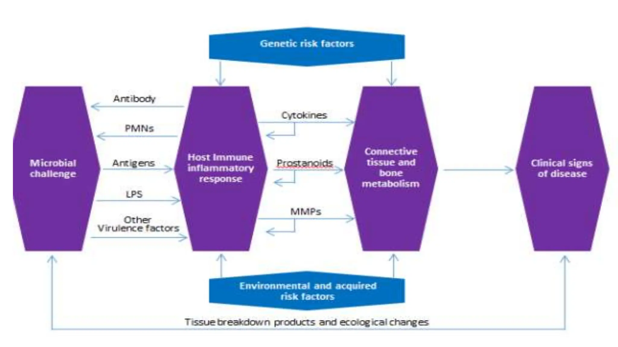 MODELS OF PATHOGENESIS IN PERIODONTITIS (1).pptx