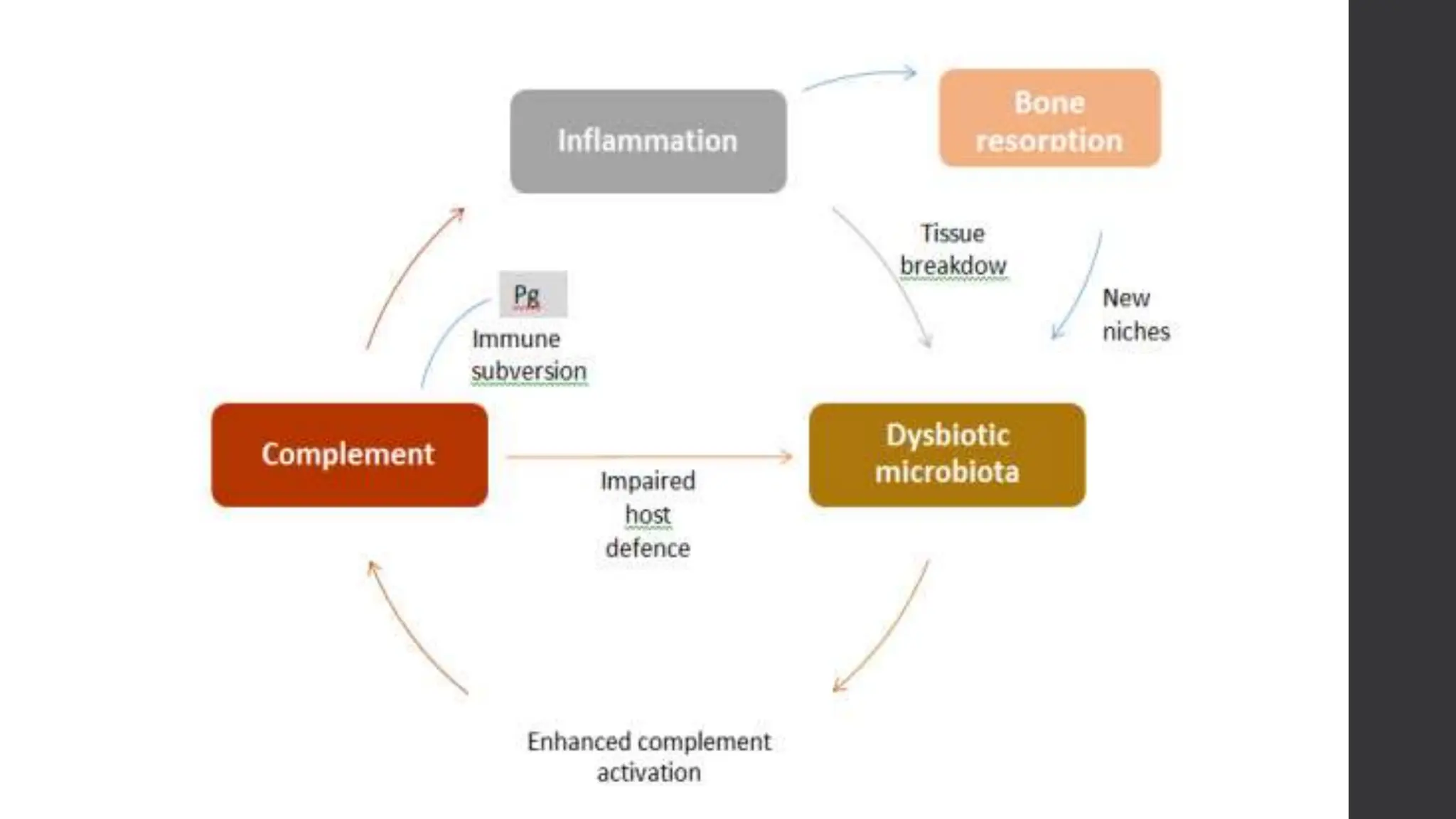 MODELS OF PATHOGENESIS IN PERIODONTITIS (1).pptx