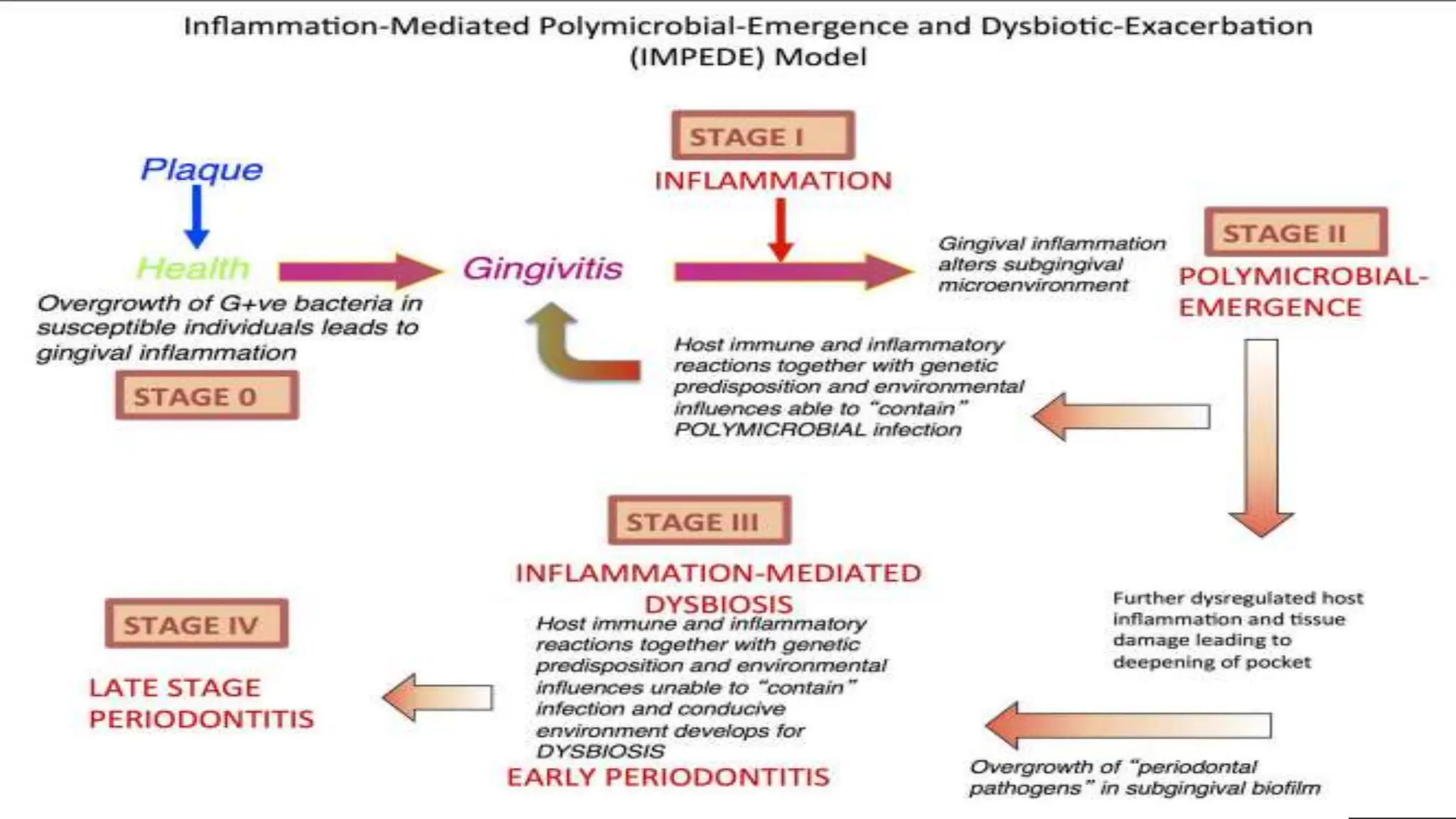 MODELS OF PATHOGENESIS IN PERIODONTITIS (1).pptx