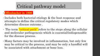 MODELS OF PATHOGENESIS IN PERIODONTITIS (1).pptx
