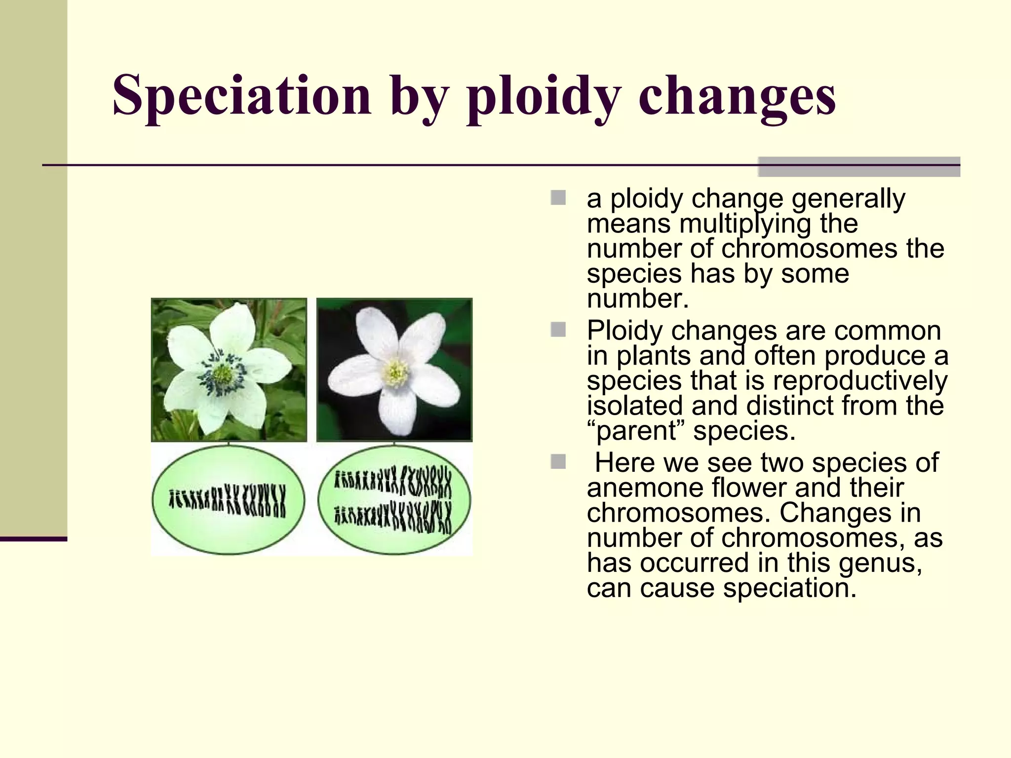 Models Of Speciation | PPT