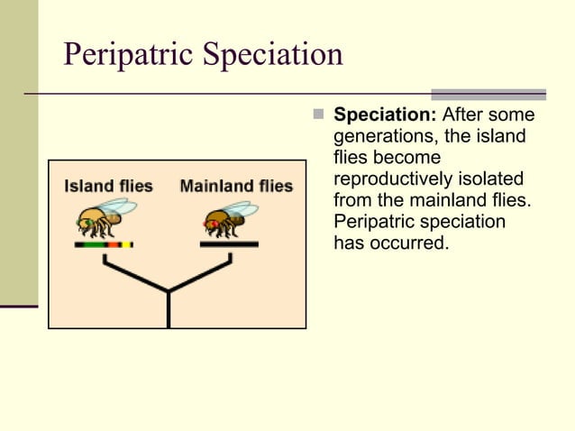 Models Of Speciation | PPT