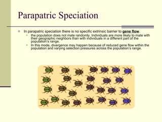 Parapatric Speciation