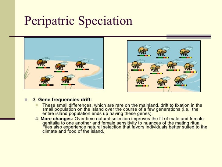 Models Of Speciation