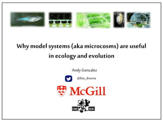Model systems in ecology | PPT
