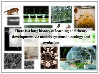 Model systems in ecology | PPT
